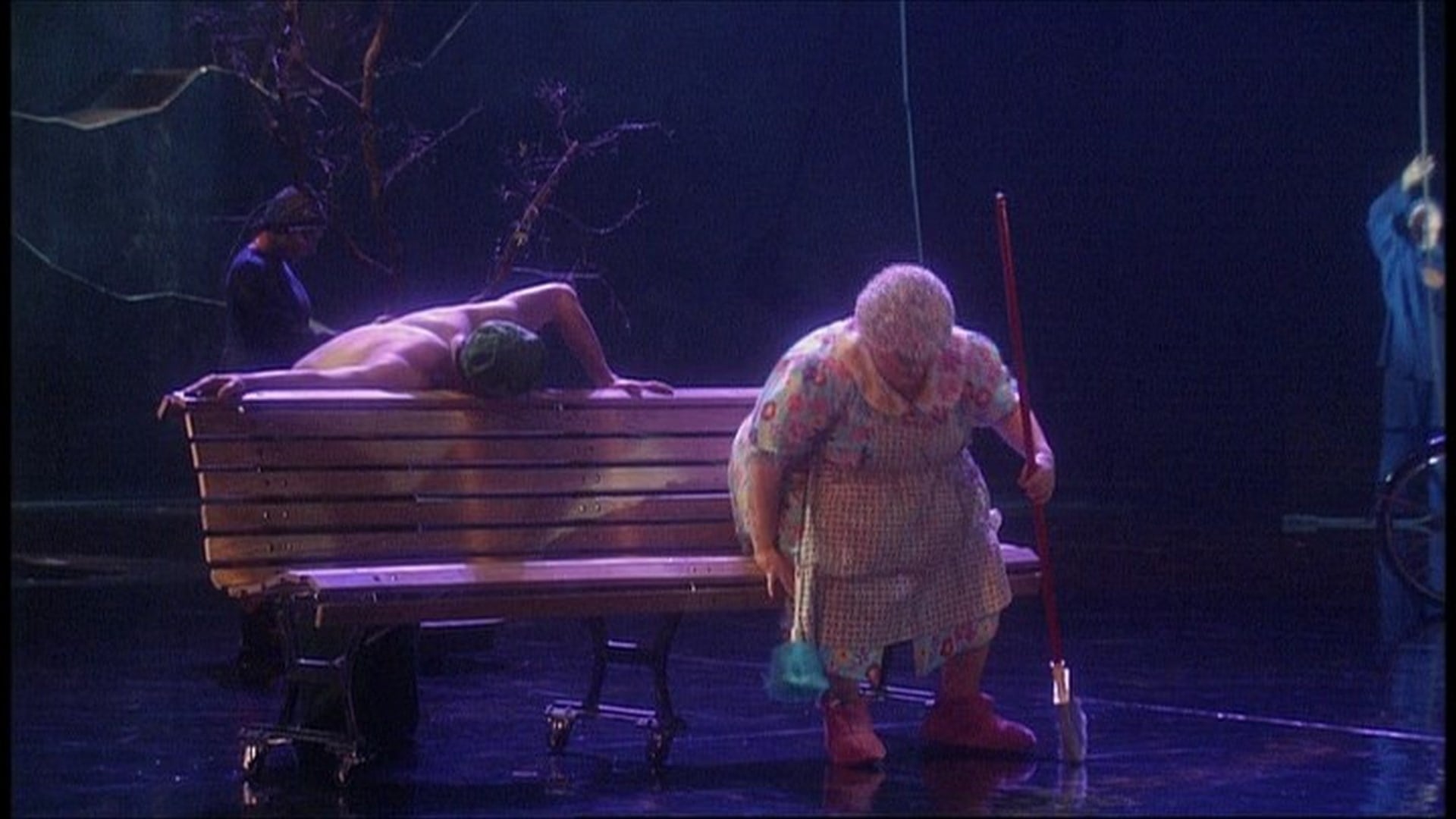 Cirque du Soleil: La Nouba - Where to Watch and Stream - TV Guide