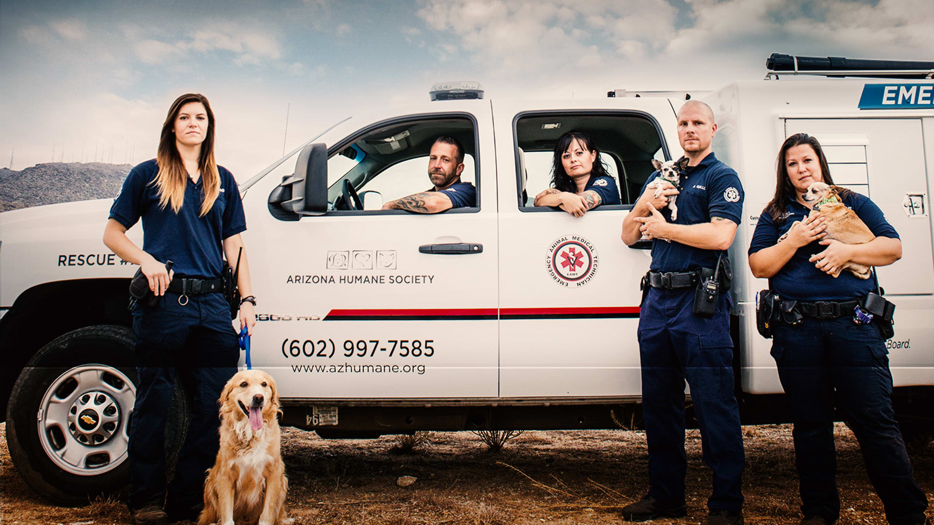 Animal Cops: Phoenix - Where to Watch and Stream - TV Guide