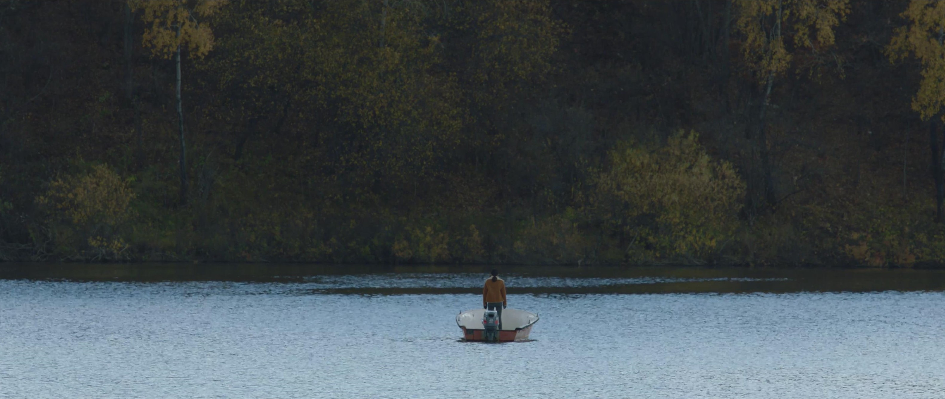 Parallel Forest - Where to Watch and Stream - TV Guide