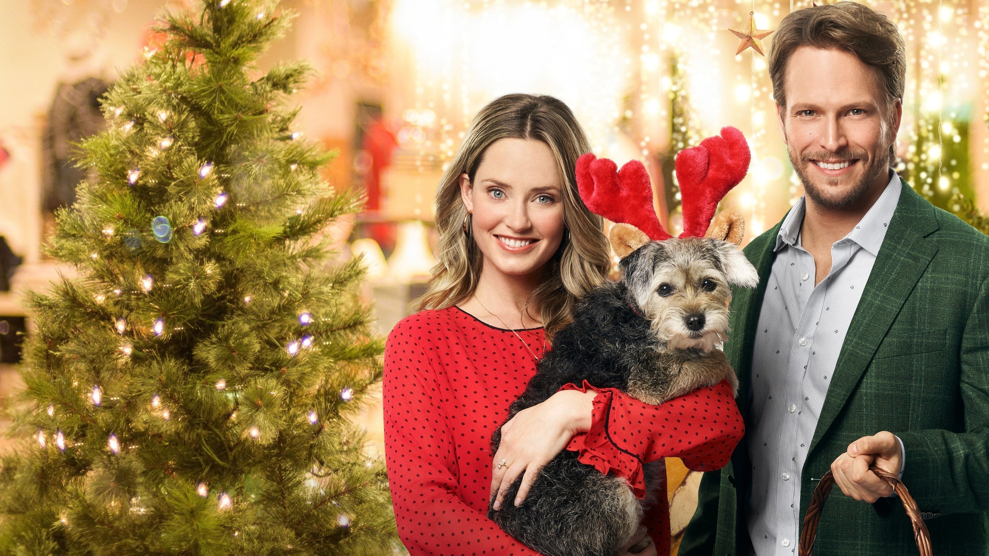 Picture a Perfect Christmas - Full Cast & Crew - TV Guide