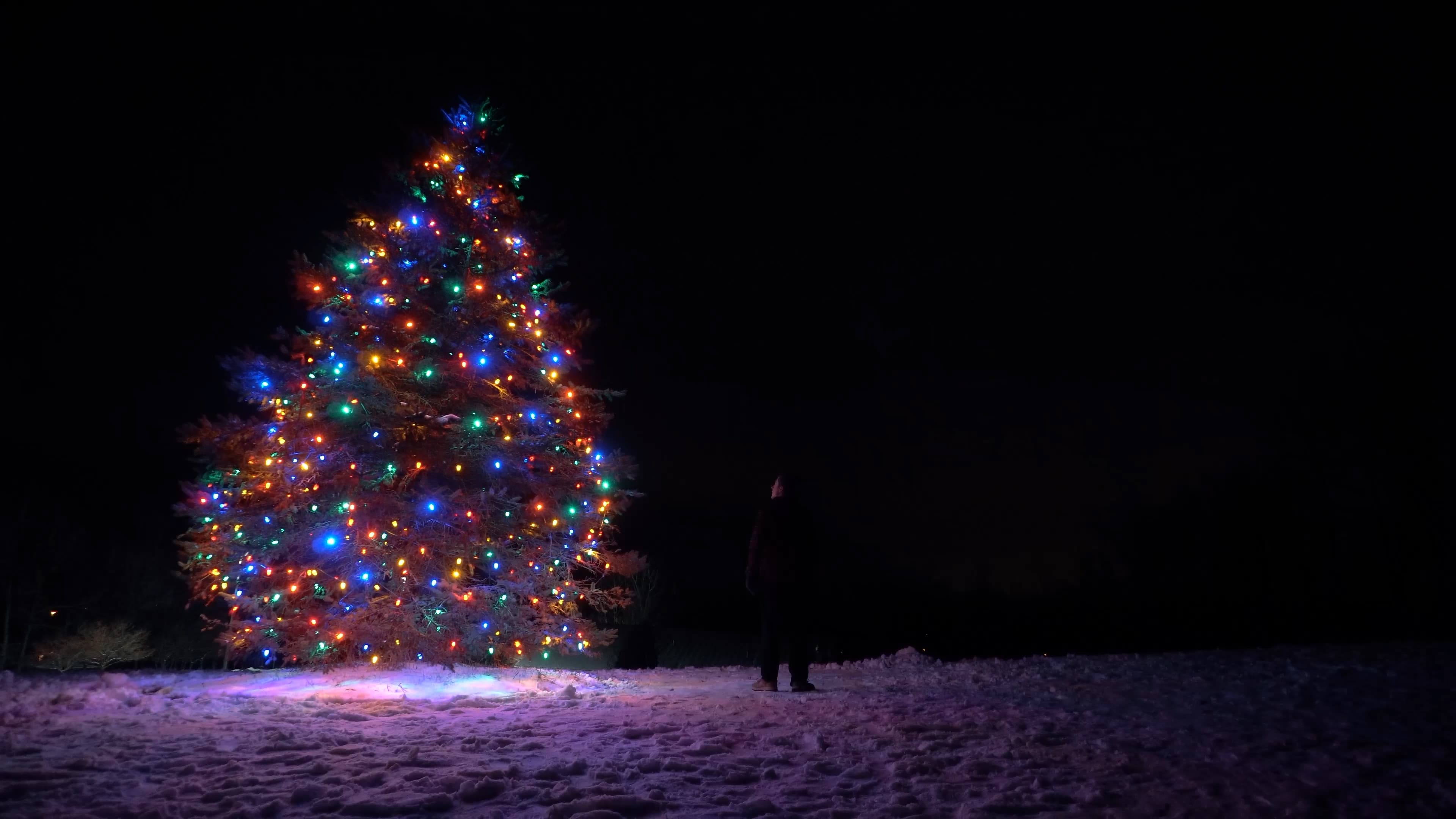 Secret Santa: A Christmas Adventure - Where to Watch and Stream - TV Guide