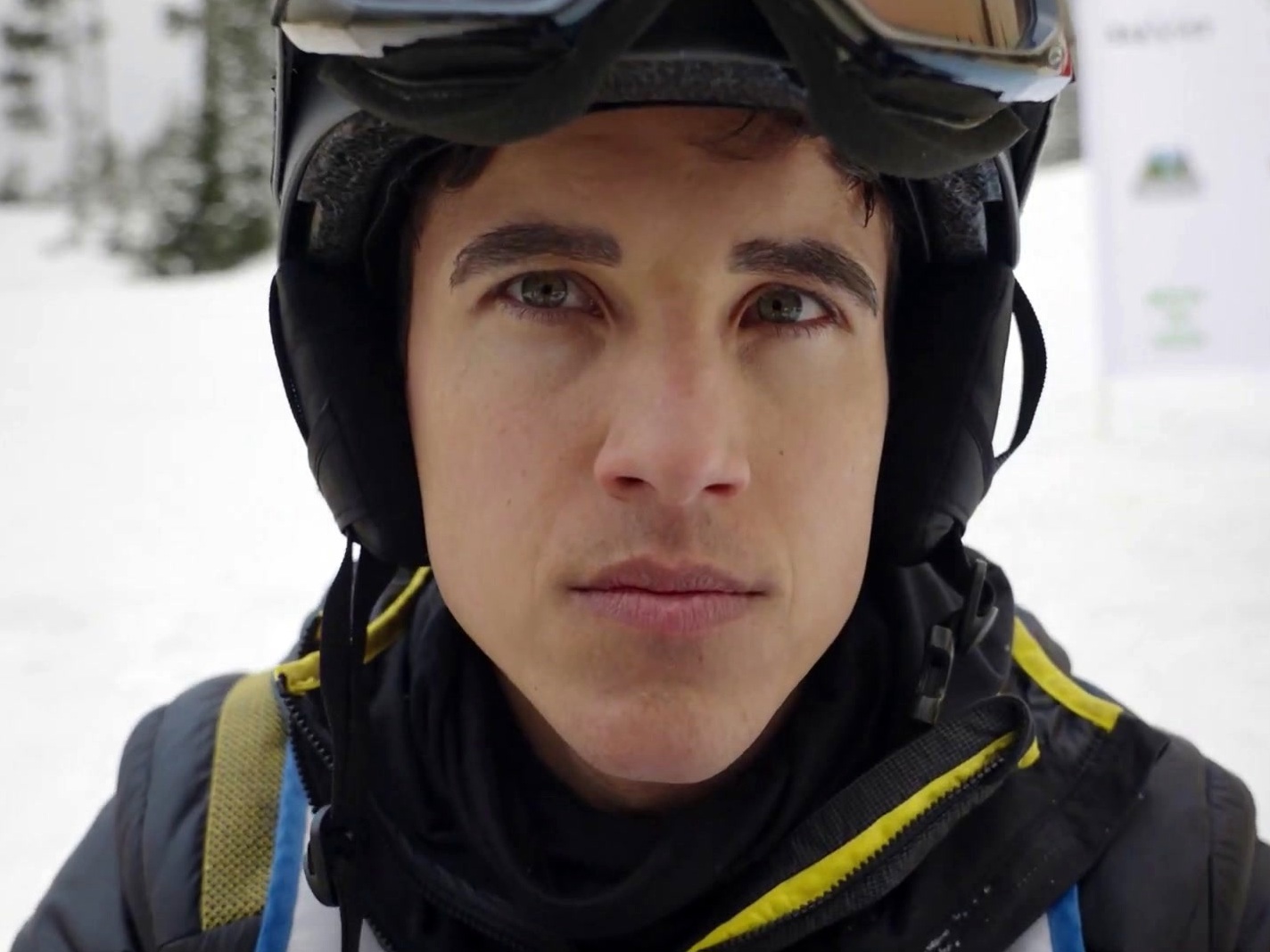 Powder Pup - Where to Watch and Stream - TV Guide