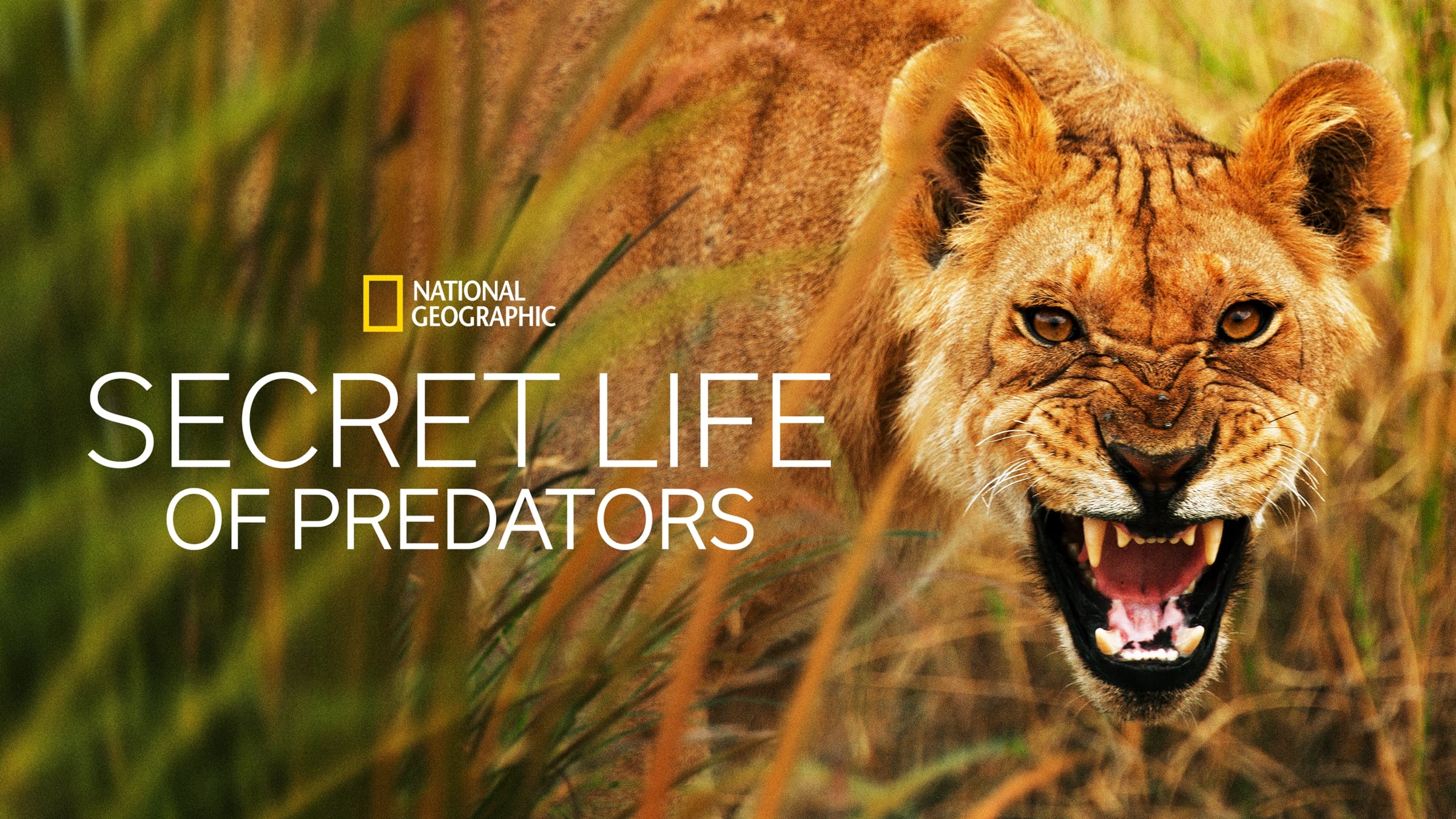 Secret Life of Predators - Full Cast & Crew - TV Guide