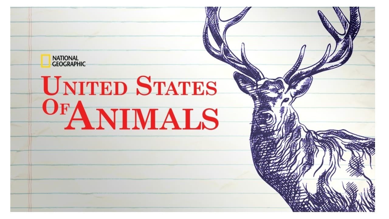 United States of Animals - Where to Watch and Stream - TV Guide