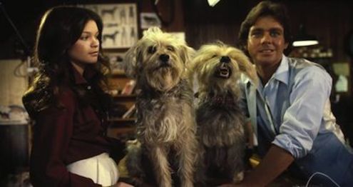 C.H.O.M.P.S. - Full Cast & Crew - TV Guide