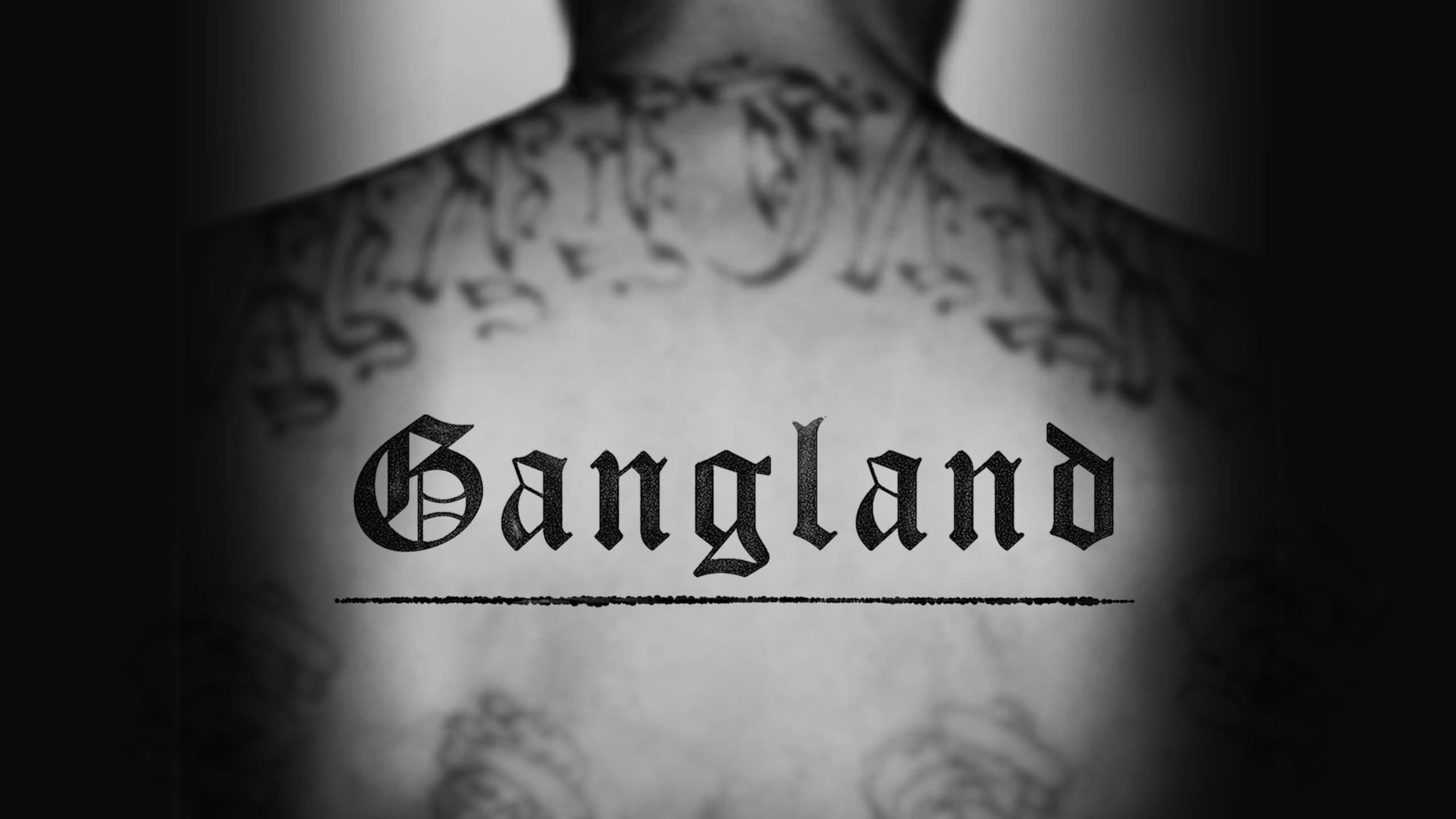 Watch Gangland Online | Season 7 (2010) | TV Guide