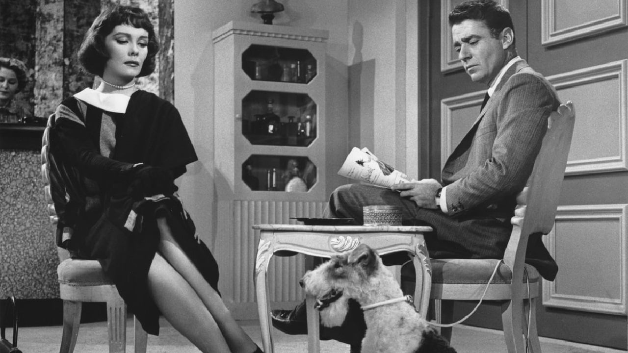 The Thin Man - Where to Watch and Stream - TV Guide