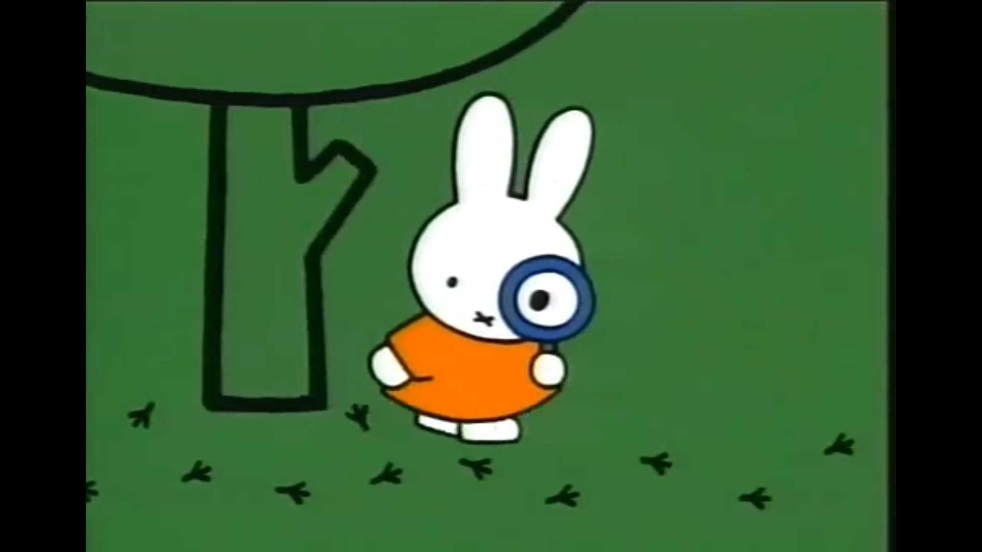 Watch Miffy and Friends Online | Season 2 (2004) | TV Guide