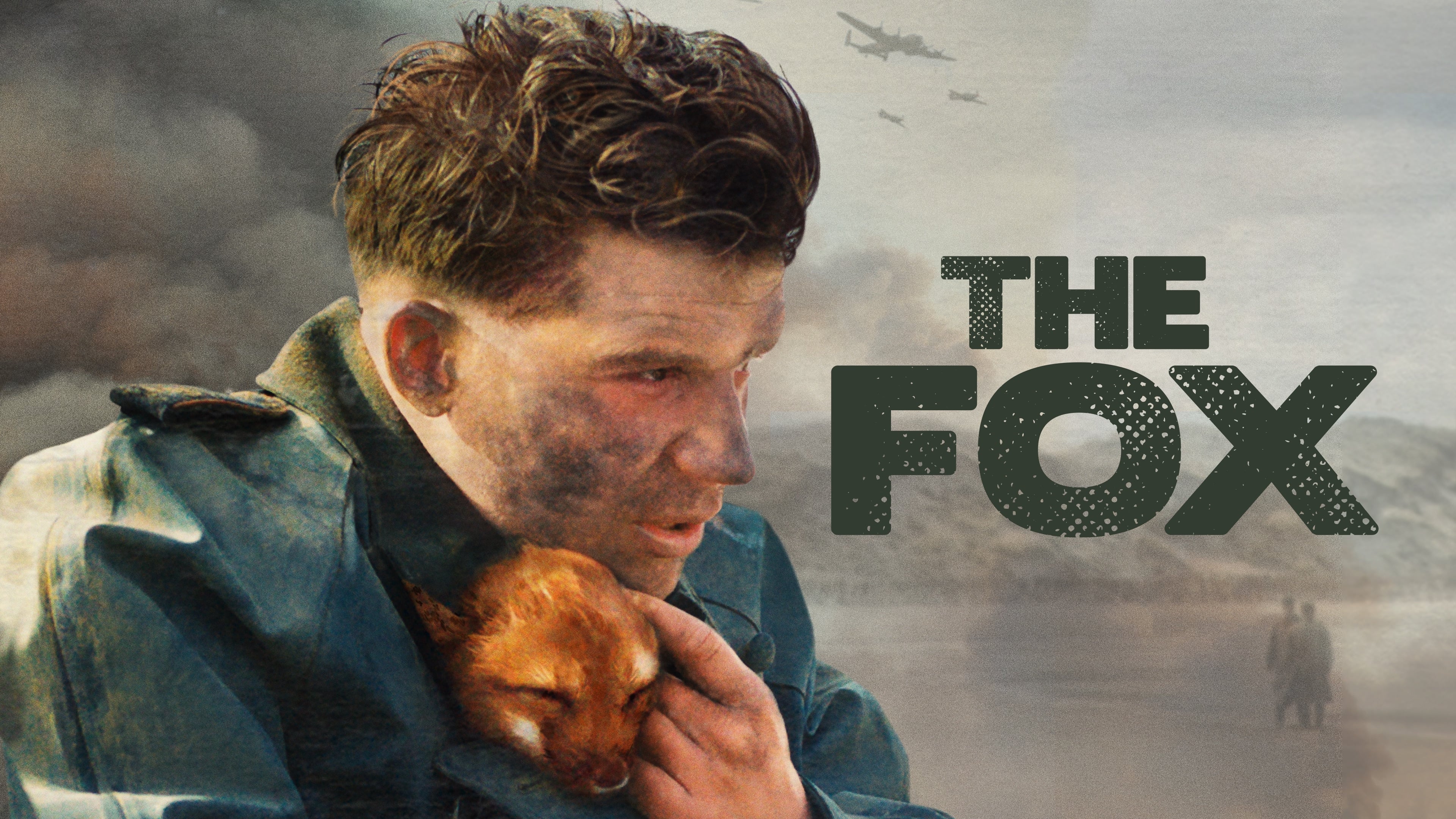 The Fox - Where to Watch and Stream - TV Guide