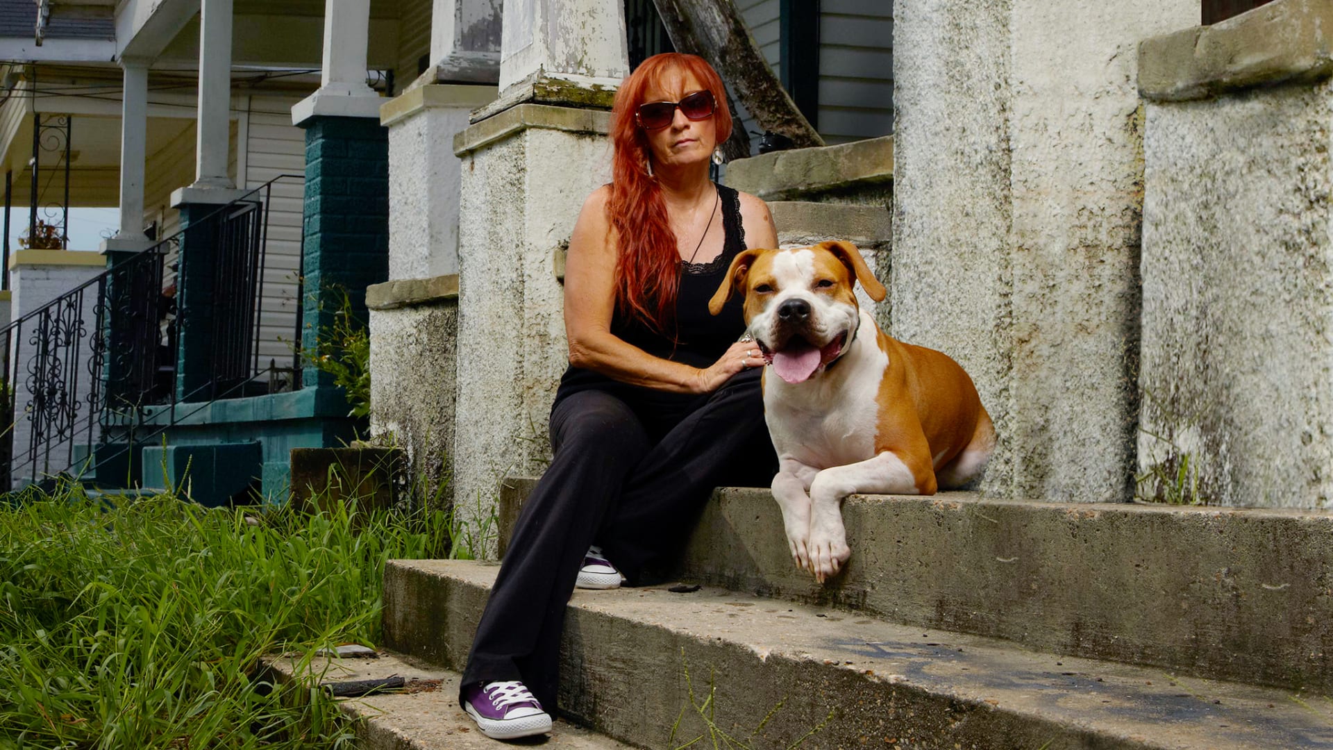 Pit Bulls And Parolees Season 19