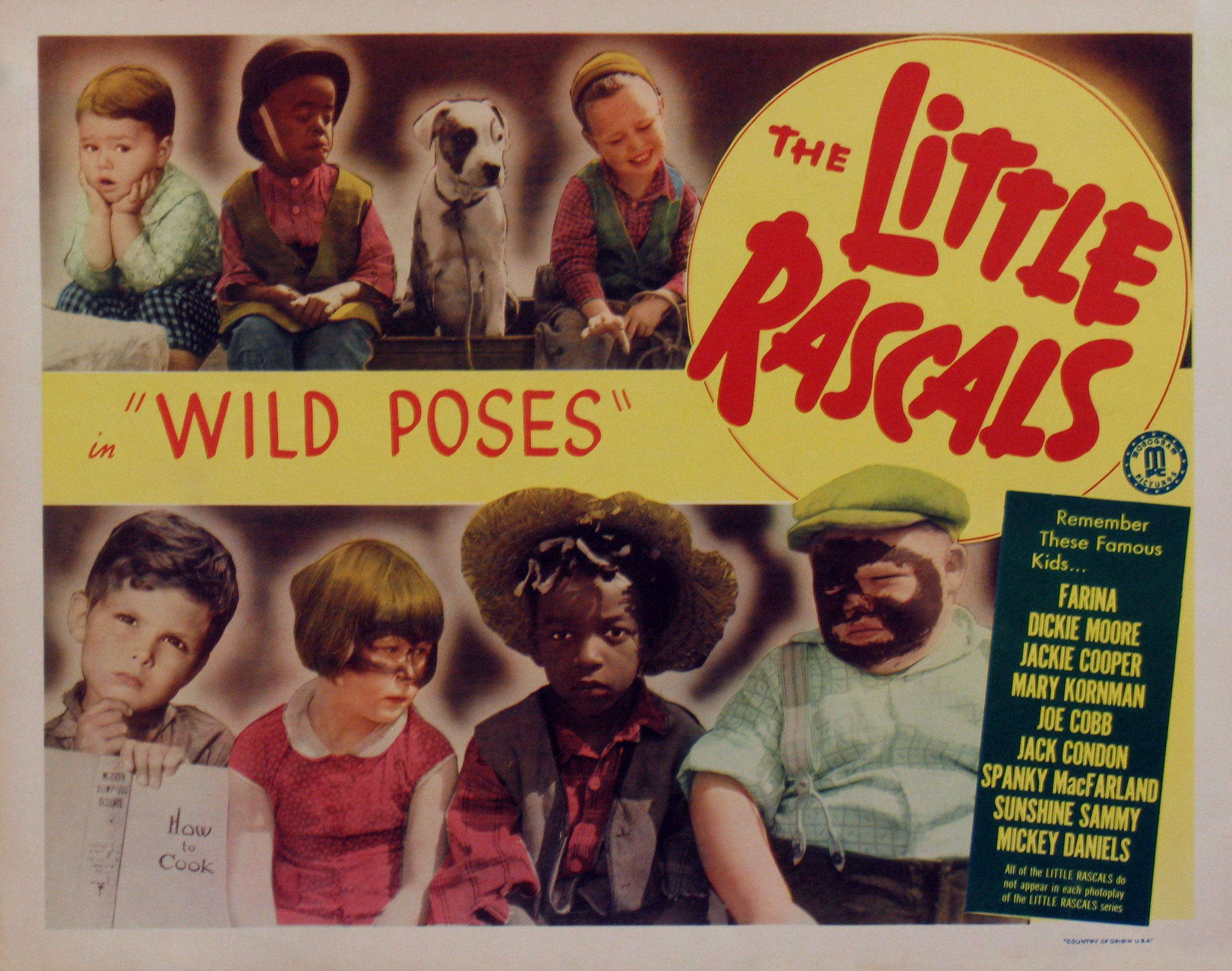 Wild Poses - Where to Watch and Stream - TV Guide