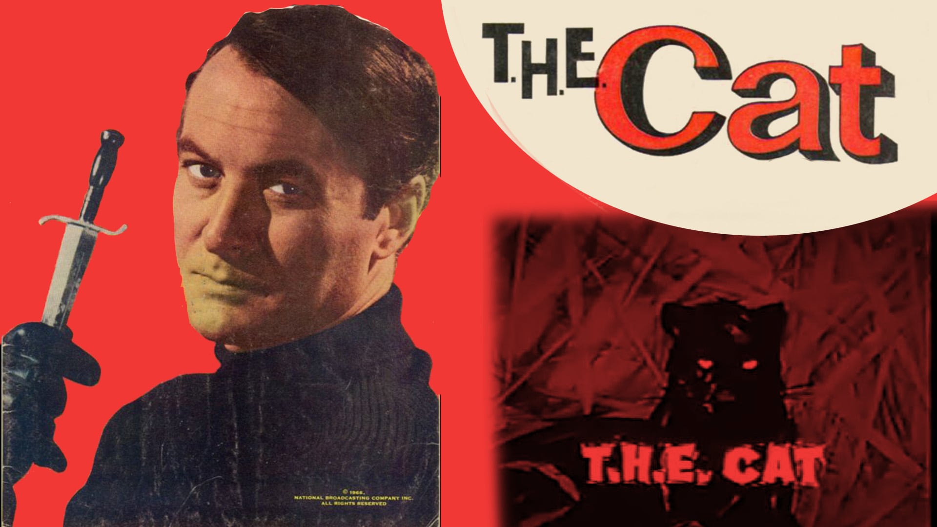 Watch T.H.E. Cat Online | Season 1 (1966) | TV Guide