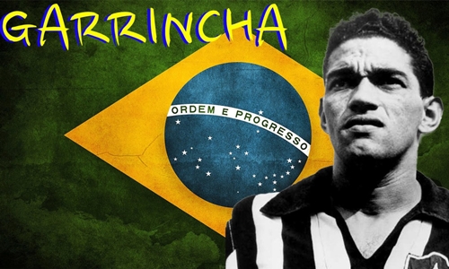 Garrincha: Hero of the Jungle - Where to Watch and Stream - TV Guide