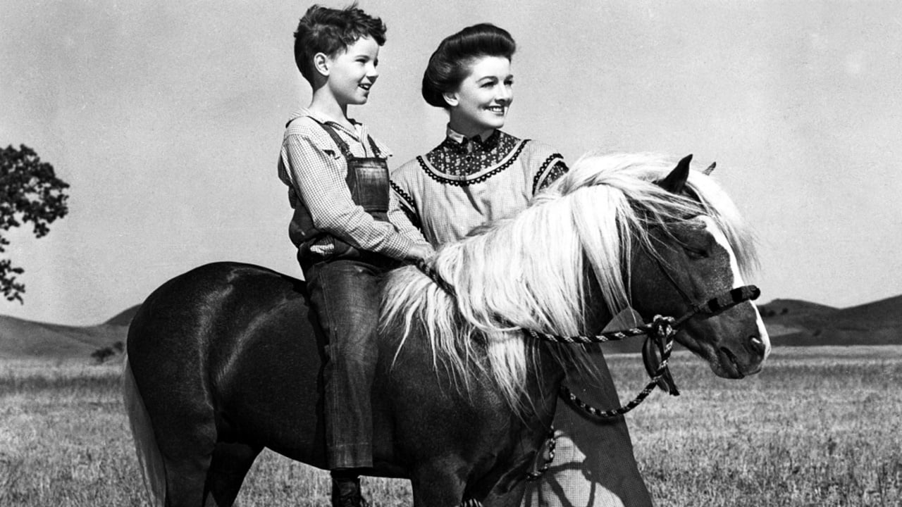 The Red Pony - Where to Watch and Stream - TV Guide