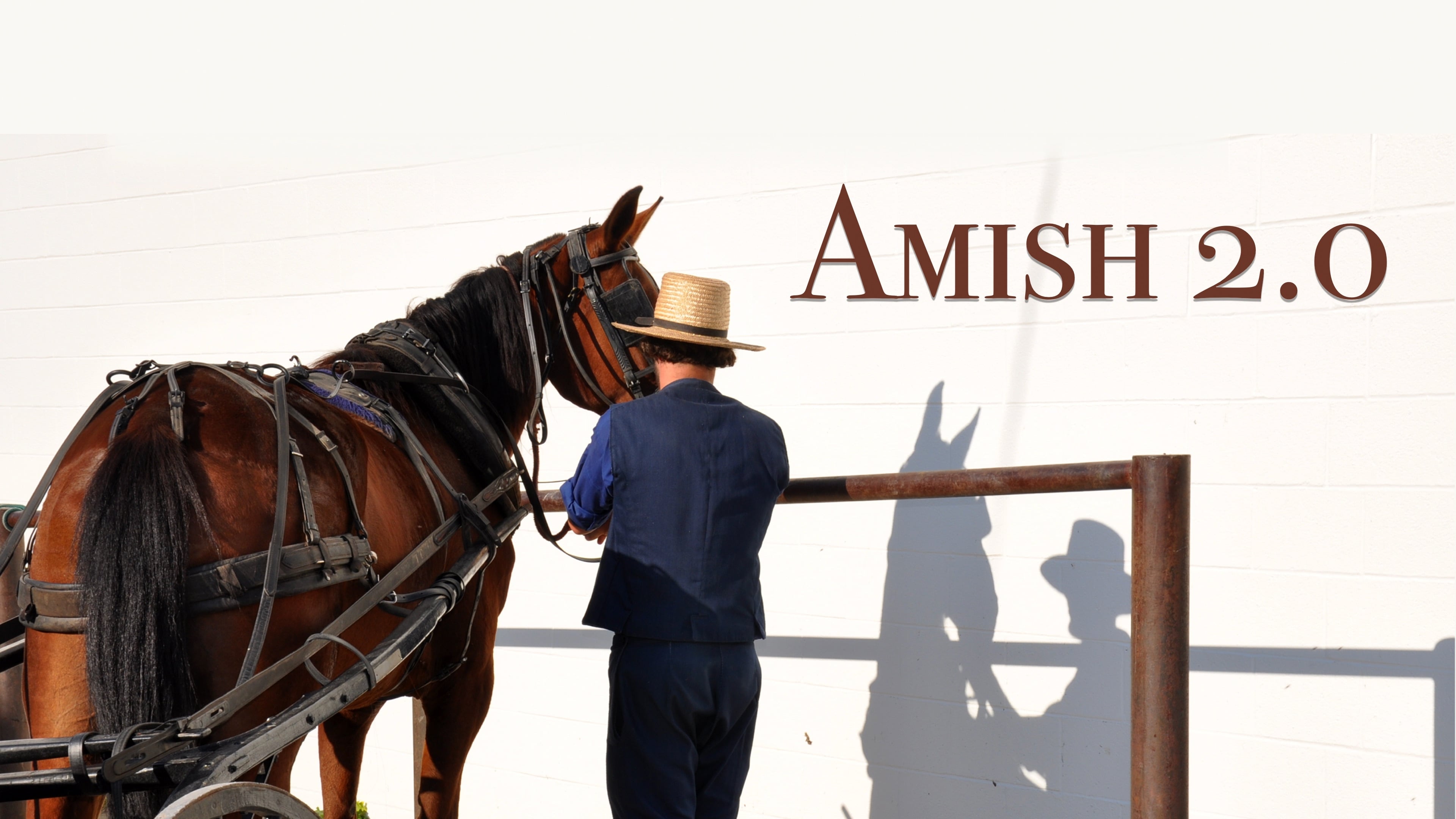 An Amish Sin - Where to Watch and Stream - TV Guide