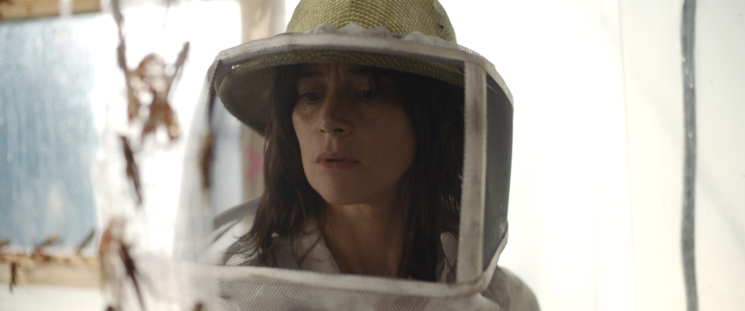 The Swarm - Where to Watch and Stream - TV Guide