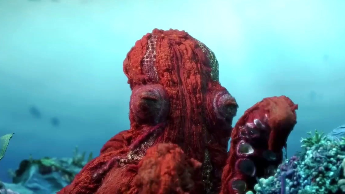 Octopus! - Full Cast & Crew - TV Guide