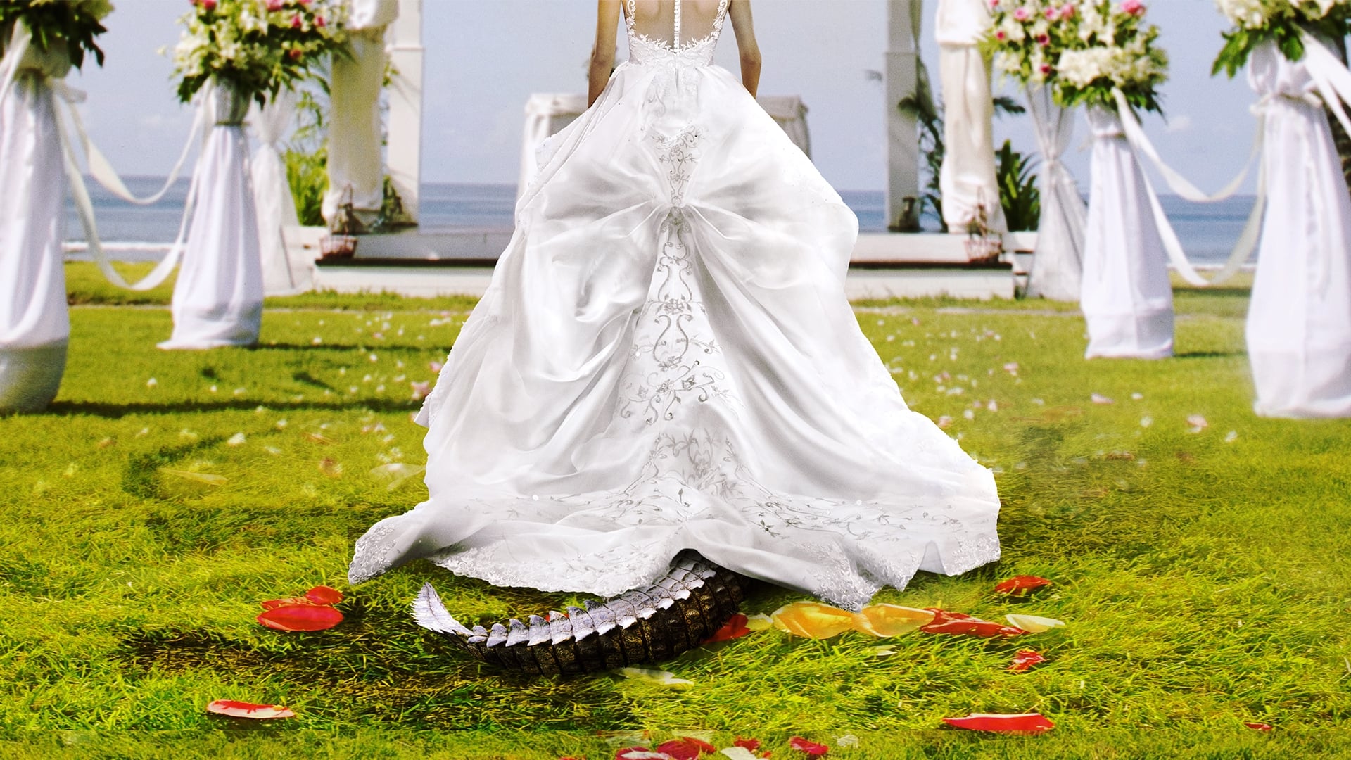 Bridezillas - Full Cast & Crew - TV Guide