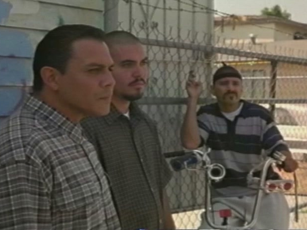 Road Dogz - Where to Watch and Stream - TV Guide