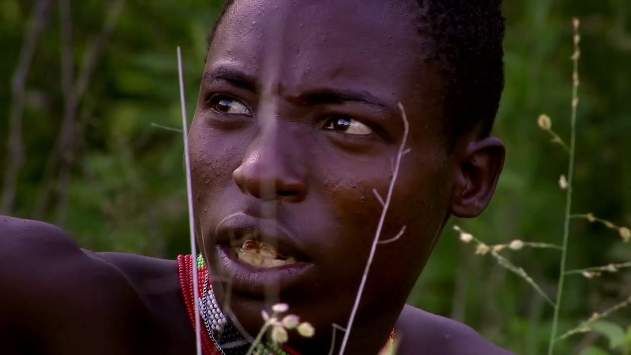 The Hadza: Last of the First - Where to Watch and Stream - TV Guide