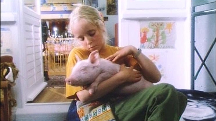 Rudy, the Racing Pig - Where to Watch and Stream - TV Guide