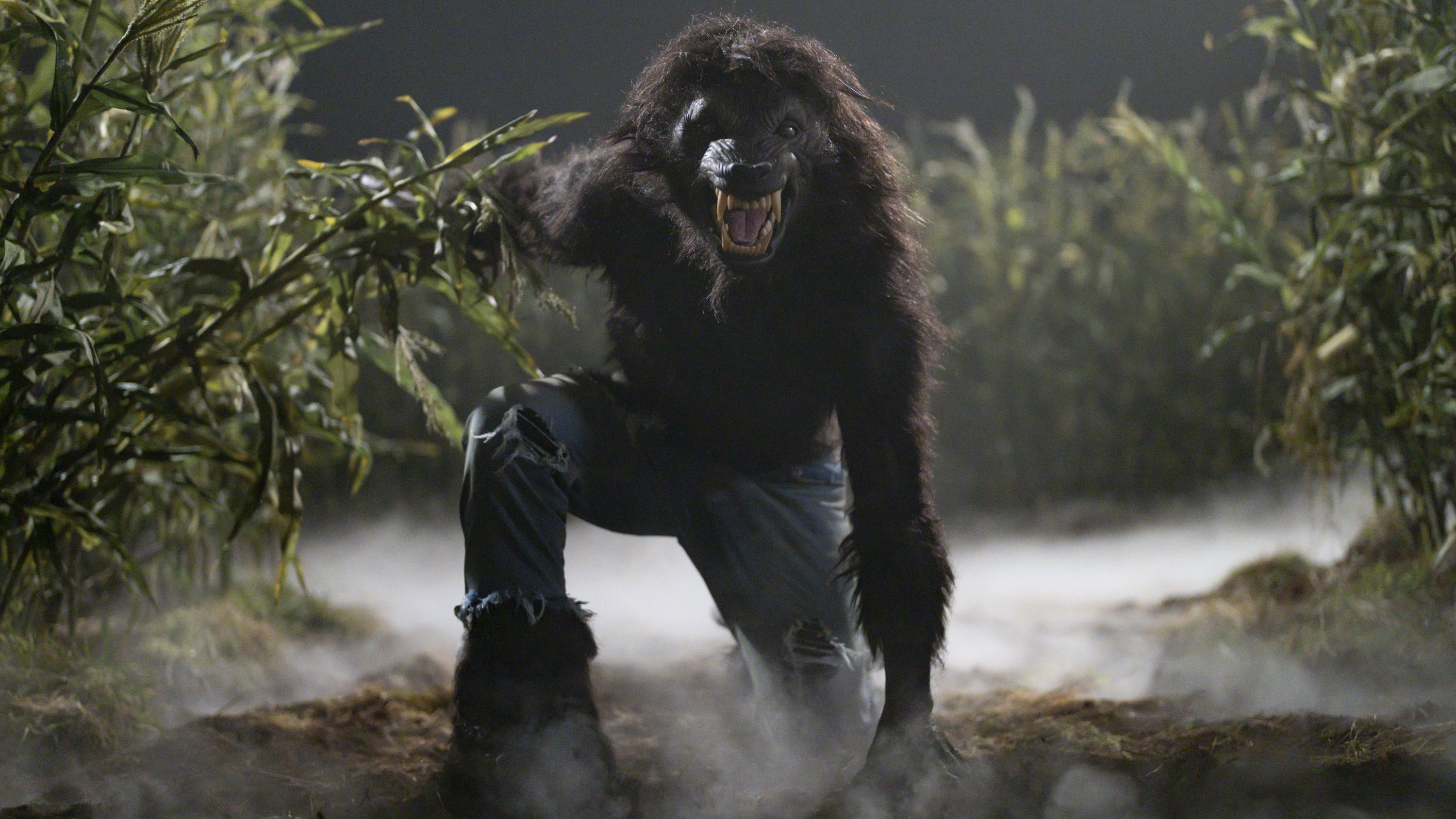 Under Wraps 2 - Where to Watch and Stream - TV Guide
