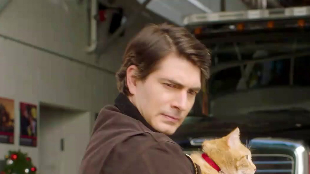 The Nine Kittens of Christmas - Full Cast & Crew - TV Guide