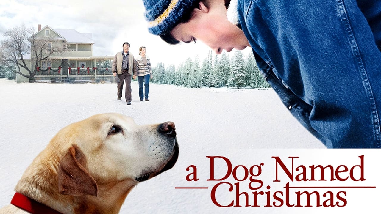 a-dog-named-christmas-full-cast-crew-tv-guide