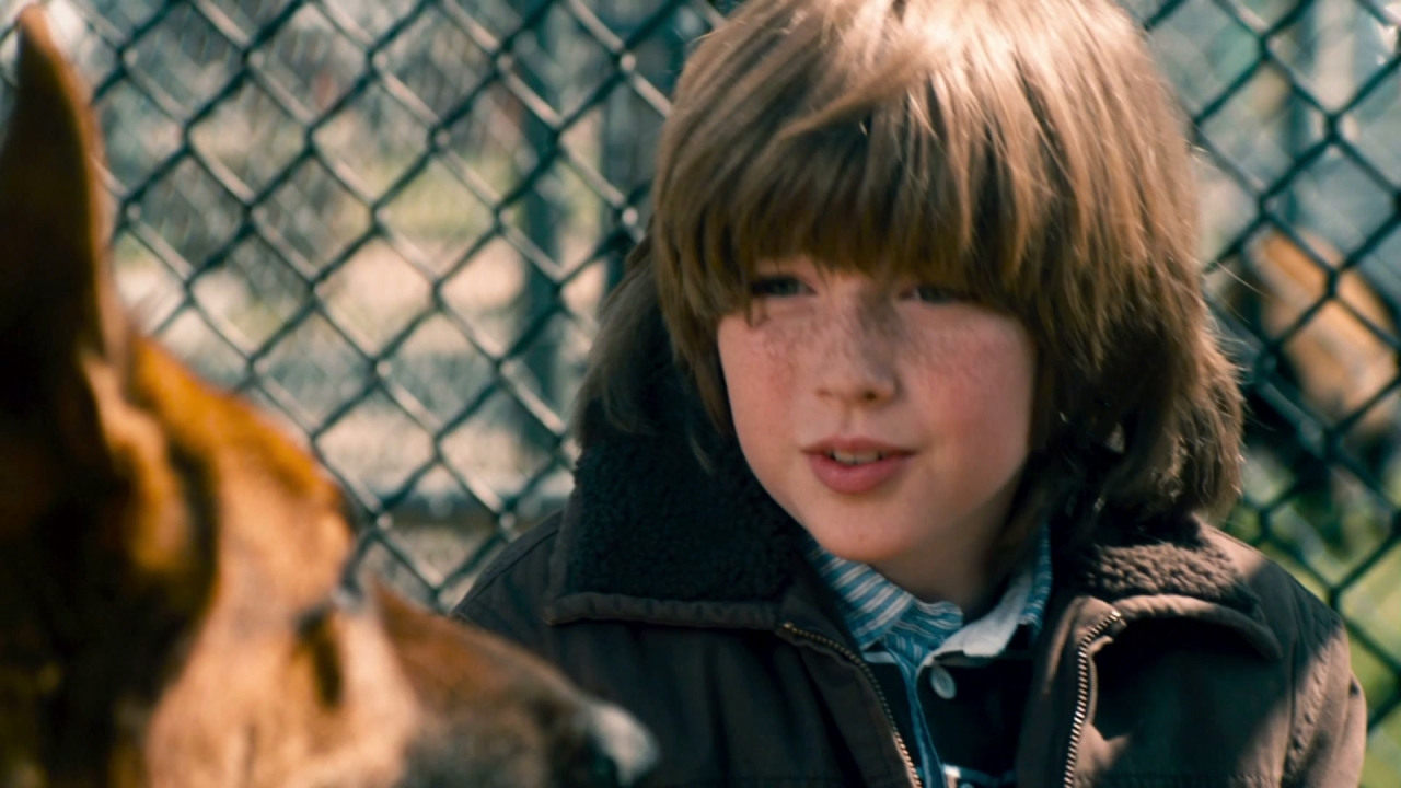 Cool Dog - Where to Watch and Stream - TV Guide
