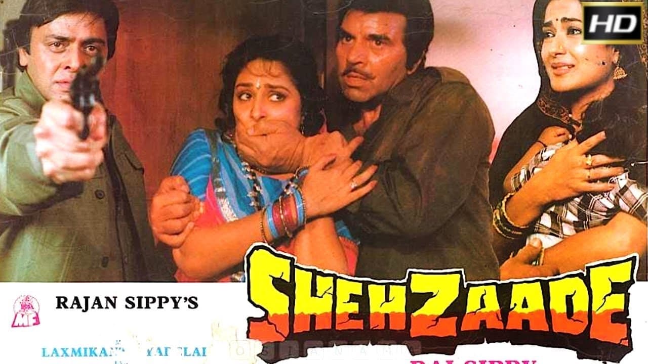 Shehzaade - Where to Watch and Stream - TV Guide
