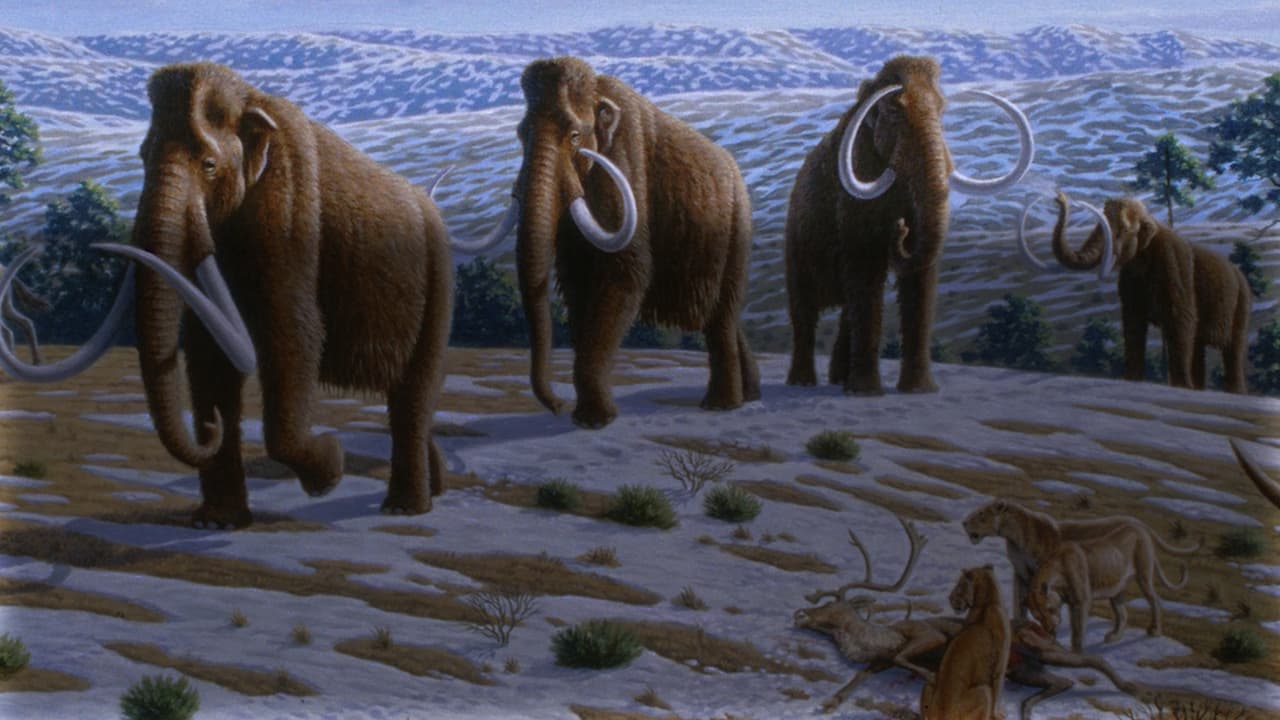 Watch Wild New World Online | Season 1 (0) | TV Guide