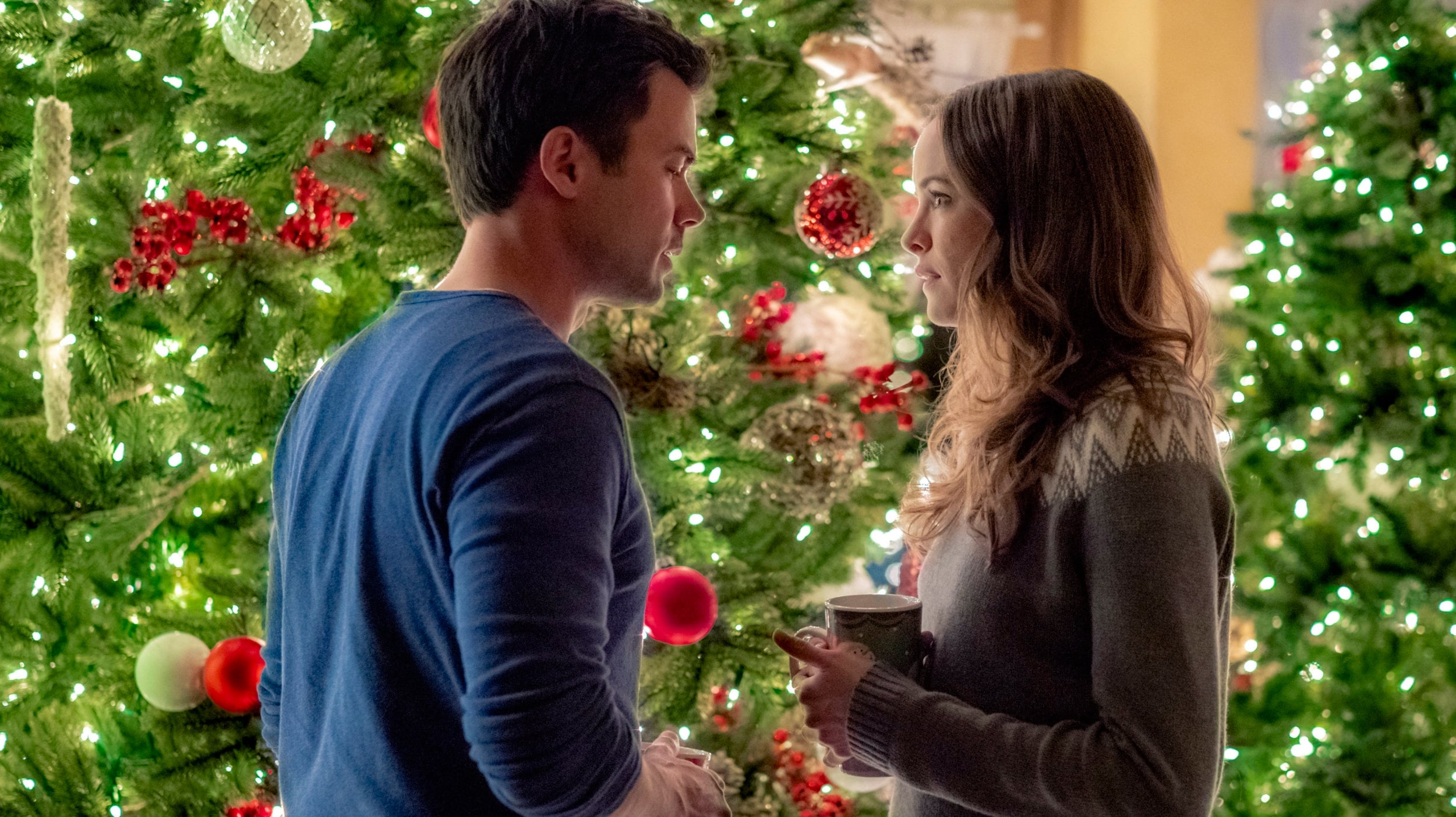 Christmas Joy - Where to Watch and Stream - TV Guide