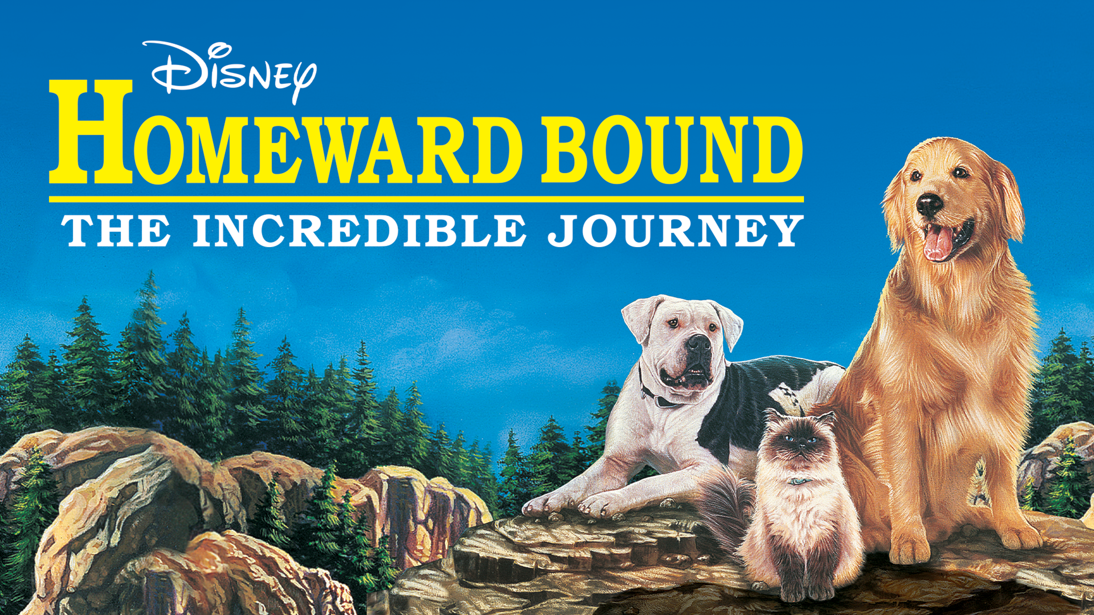 Homeward Bound: The Incredible Journey - Where to Watch and Stream - TV ...