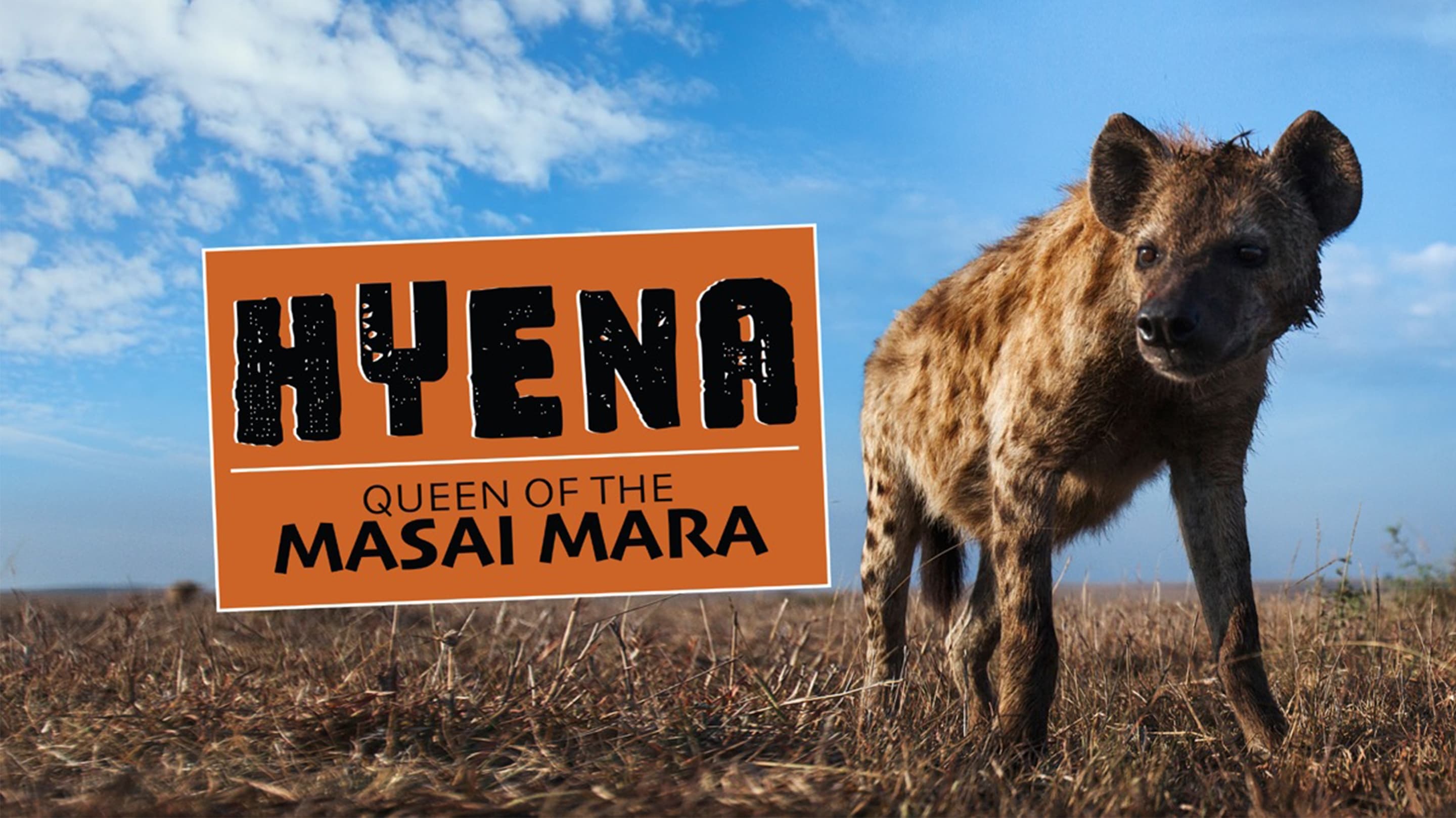 Hyena: Queen of the Masai Mara - Where to Watch and Stream - TV Guide