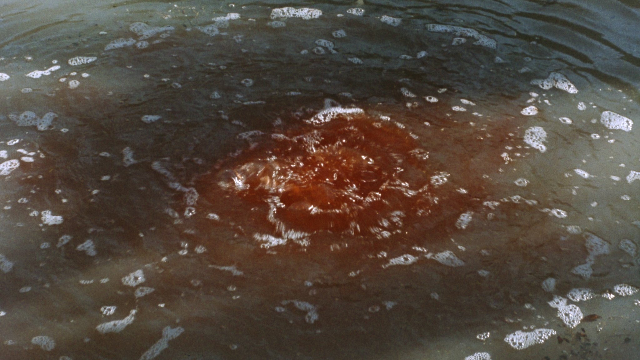 The Cellar - Full Cast & Crew - TV Guide