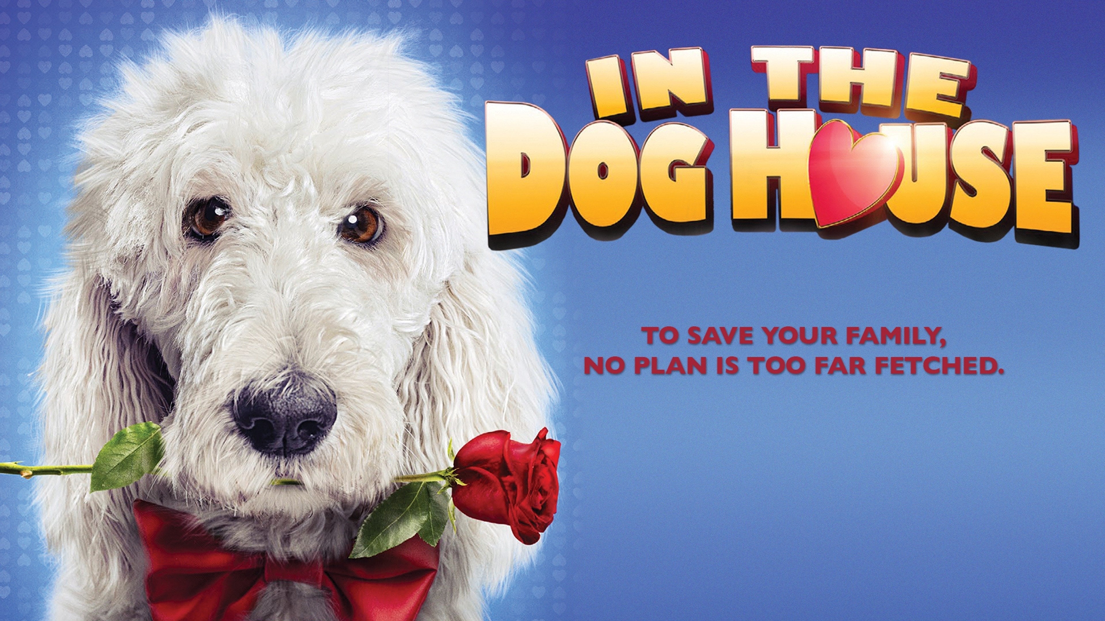 In the Dog House - Where to Watch and Stream - TV Guide