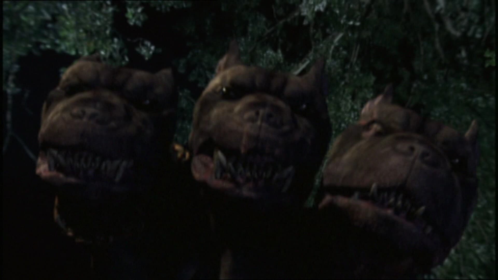 Cerberus - Where to Watch and Stream - TV Guide