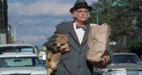 Harry and Tonto - Where to Watch and Stream - TV Guide