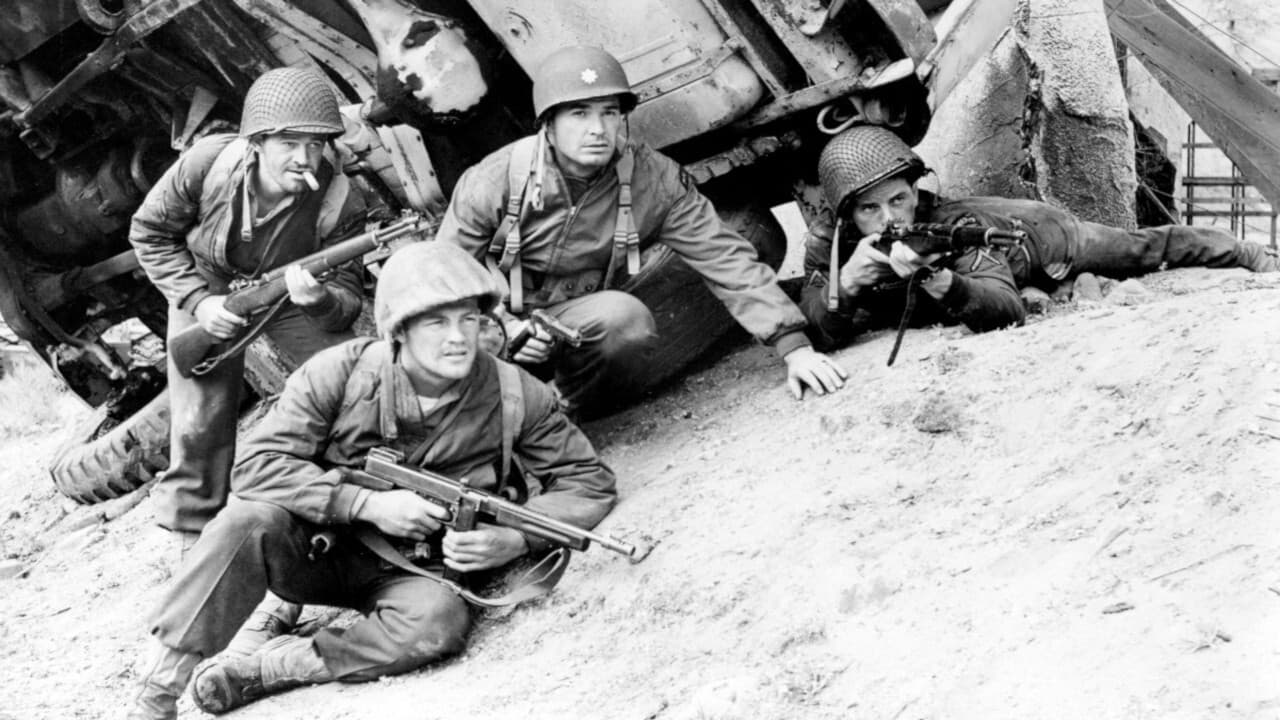 Darby's Rangers - Full Cast & Crew - TV Guide