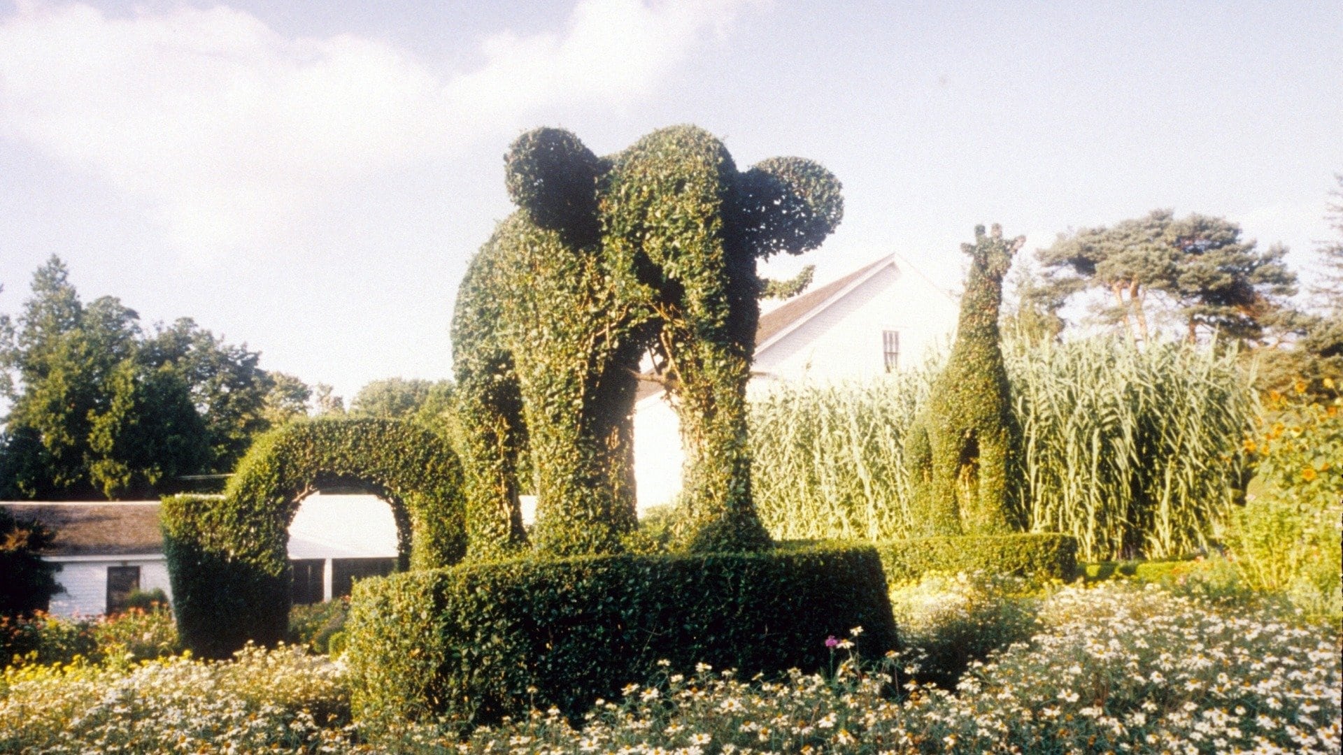 Fast, Cheap & Out of Control - Where to Watch and Stream - TV Guide