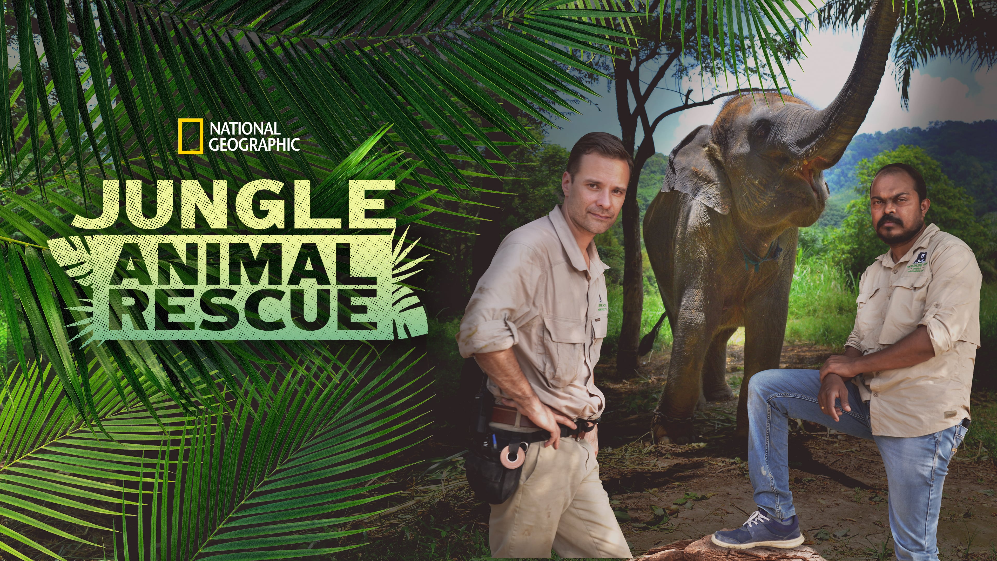Jungle Animal Rescue - Where to Watch and Stream - TV Guide