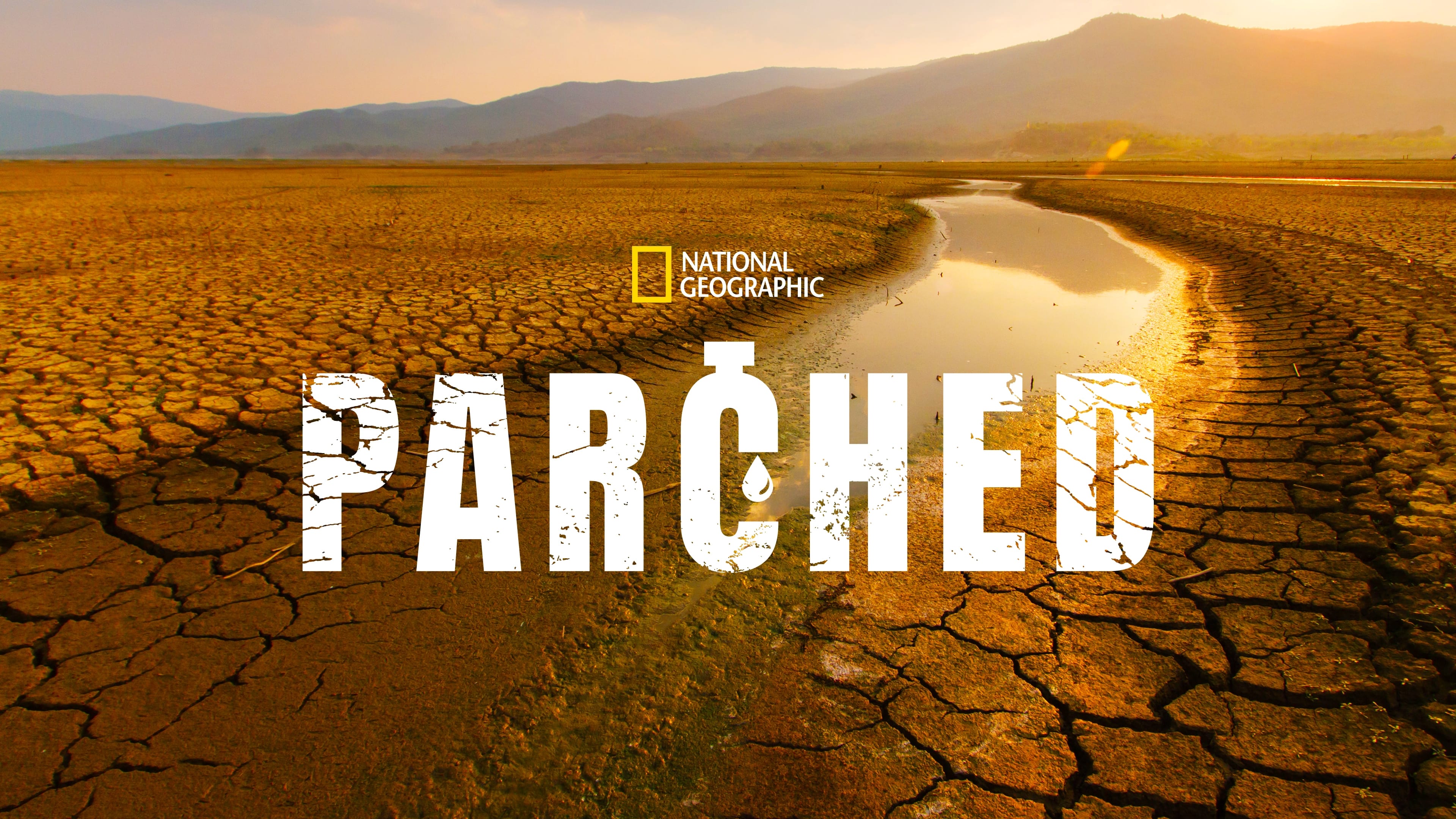 Parched - Where to Watch and Stream - TV Guide