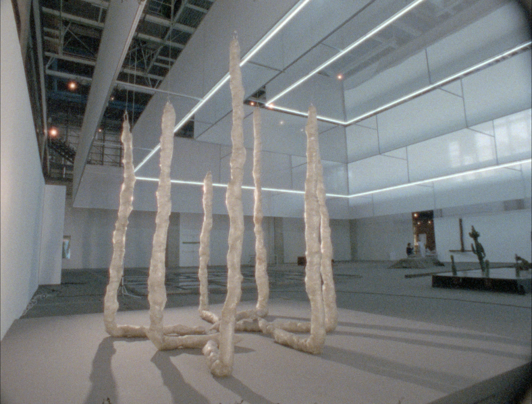 4 Artists: Robert Ryman, Eva Hesse, Bruce Nauman, Susan Rothenberg ...