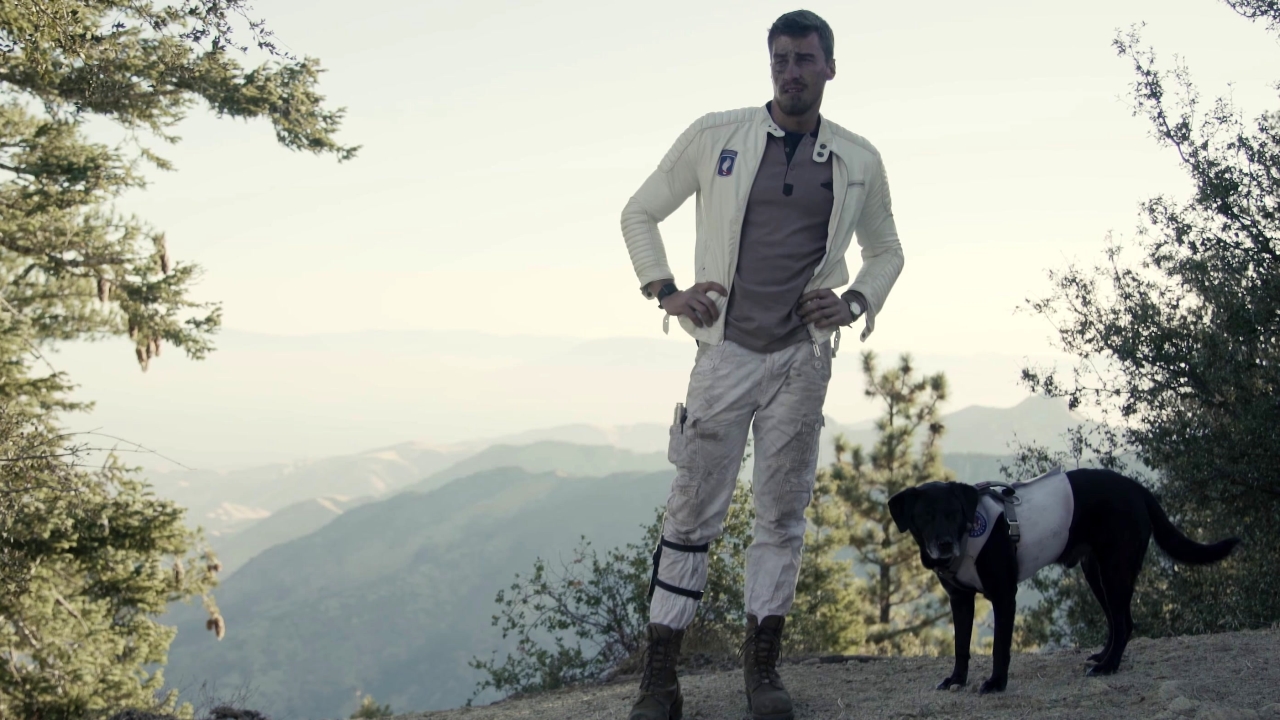 Ellipse - Where to Watch and Stream - TV Guide