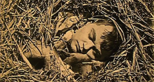 The Hayseed - Where to Watch and Stream - TV Guide