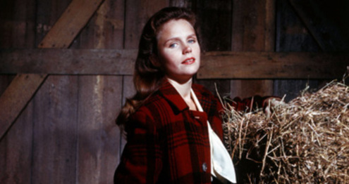 Wild River - Where to Watch and Stream - TV Guide