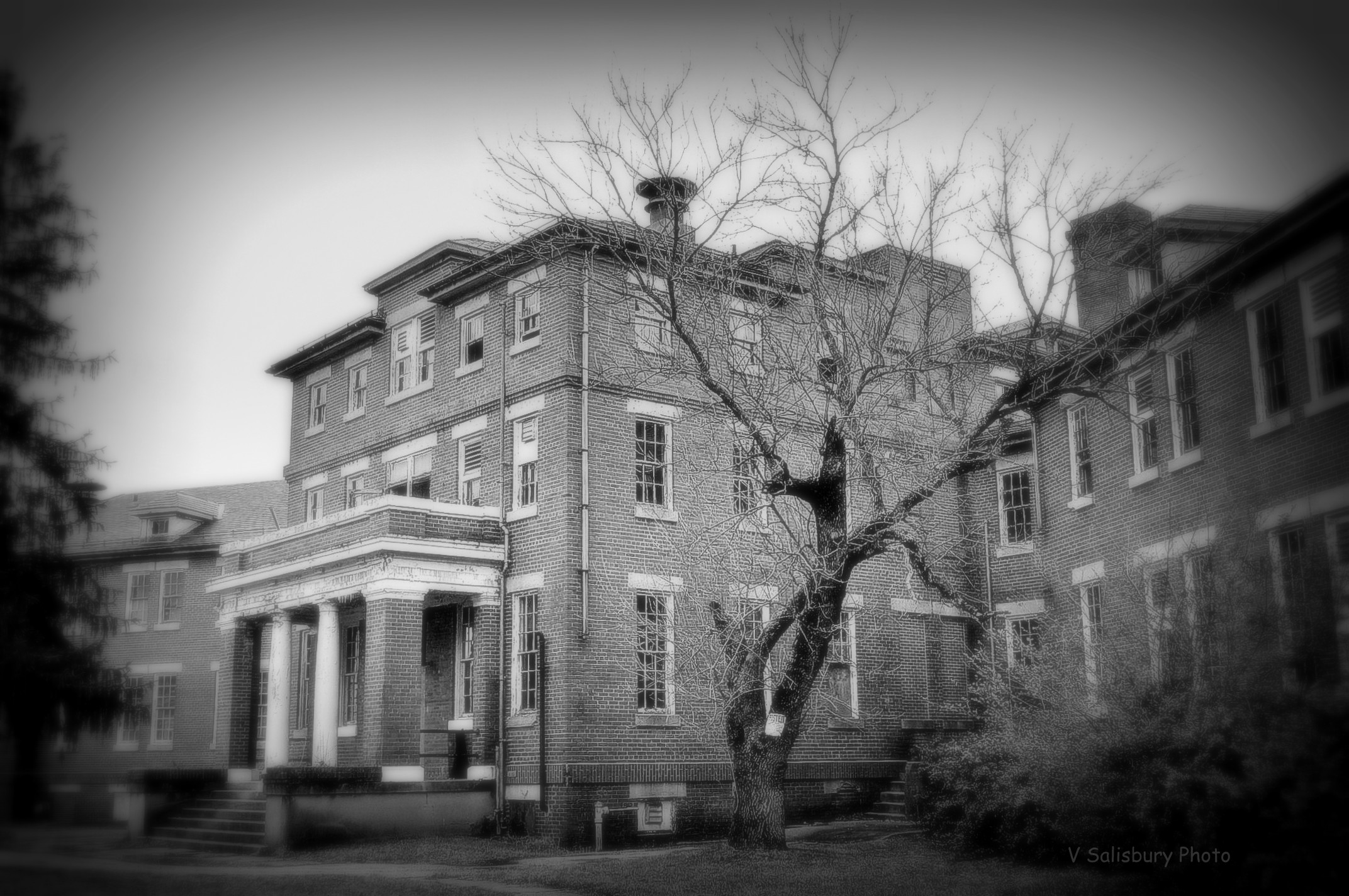 Crownsville Hospital: From Lunacy to Legacy - Where to Watch and Stream ...
