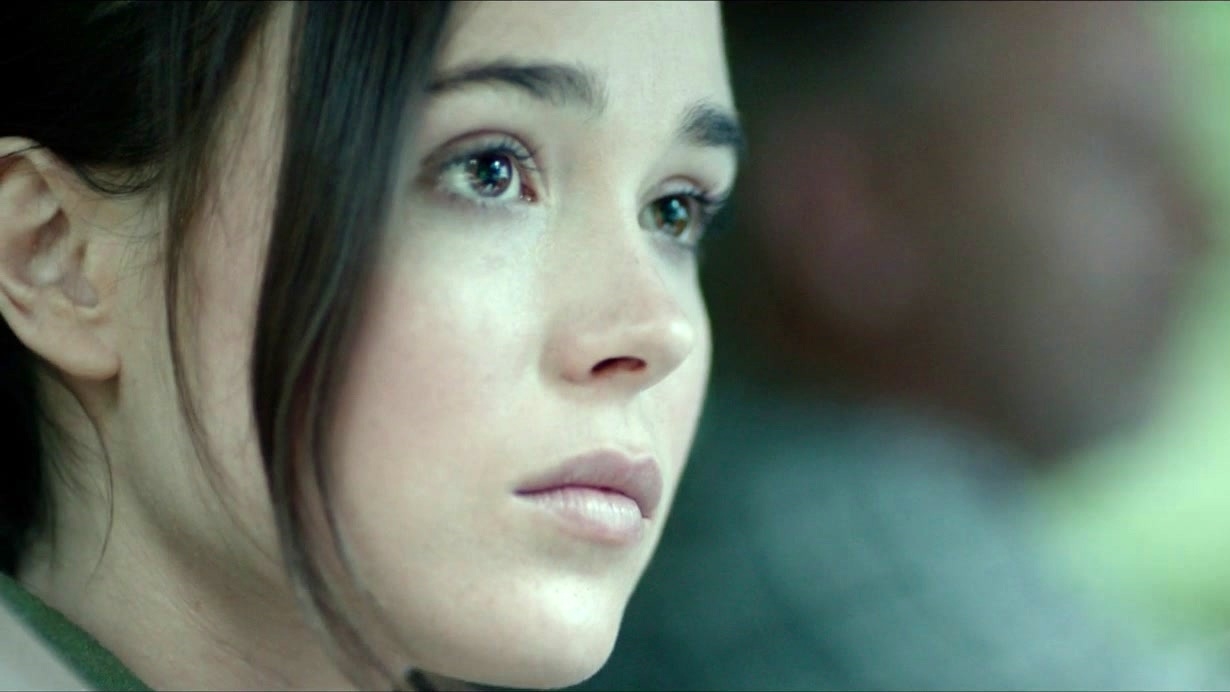 Into the Forest - Where to Watch and Stream - TV Guide