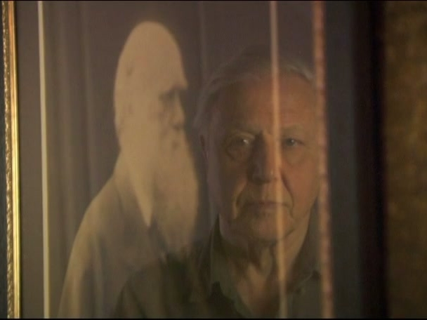 Charles Darwin and the Tree of Life - Where to Watch and Stream - TV Guide