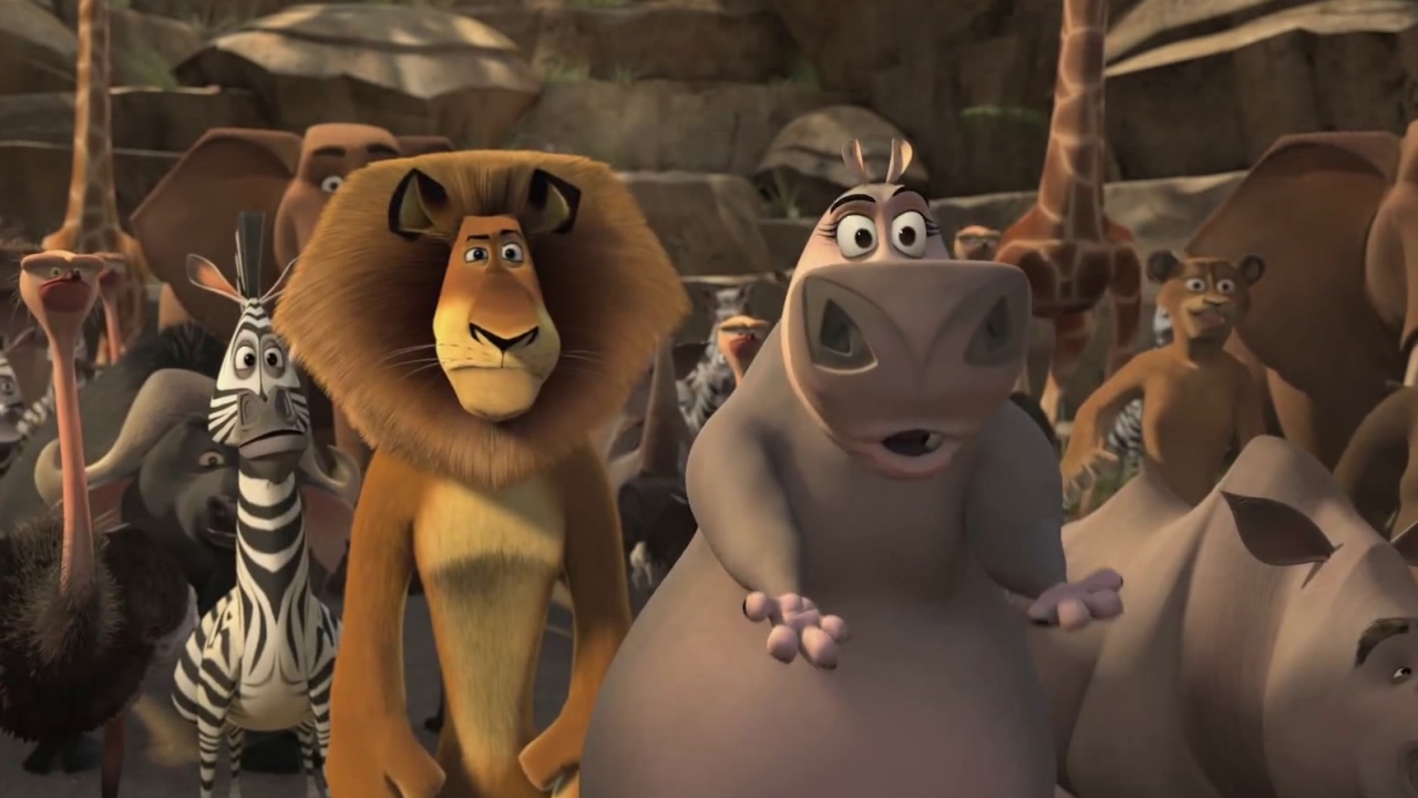 Madly Madagascar Madly Madagascar (film, 2013) FilmVandaag.nl